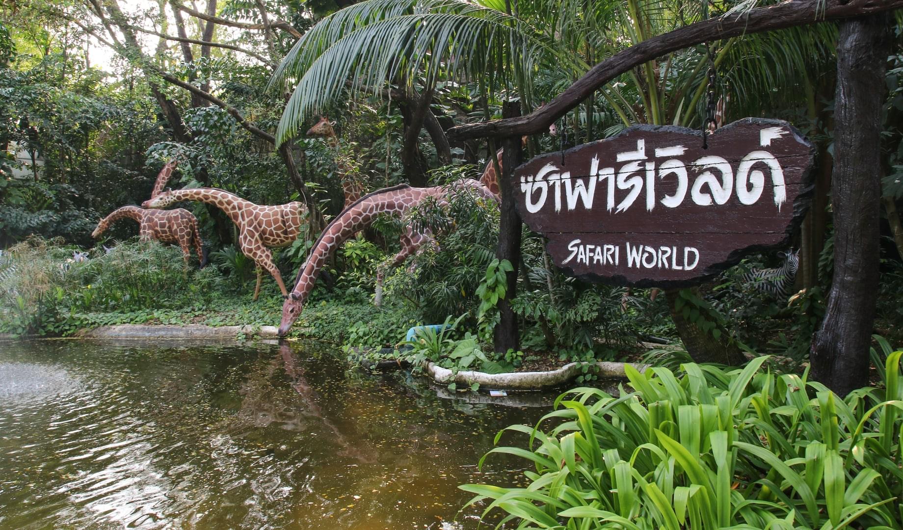 Plan Your Visit to Safari World Bangkok | Explore Wildlife
